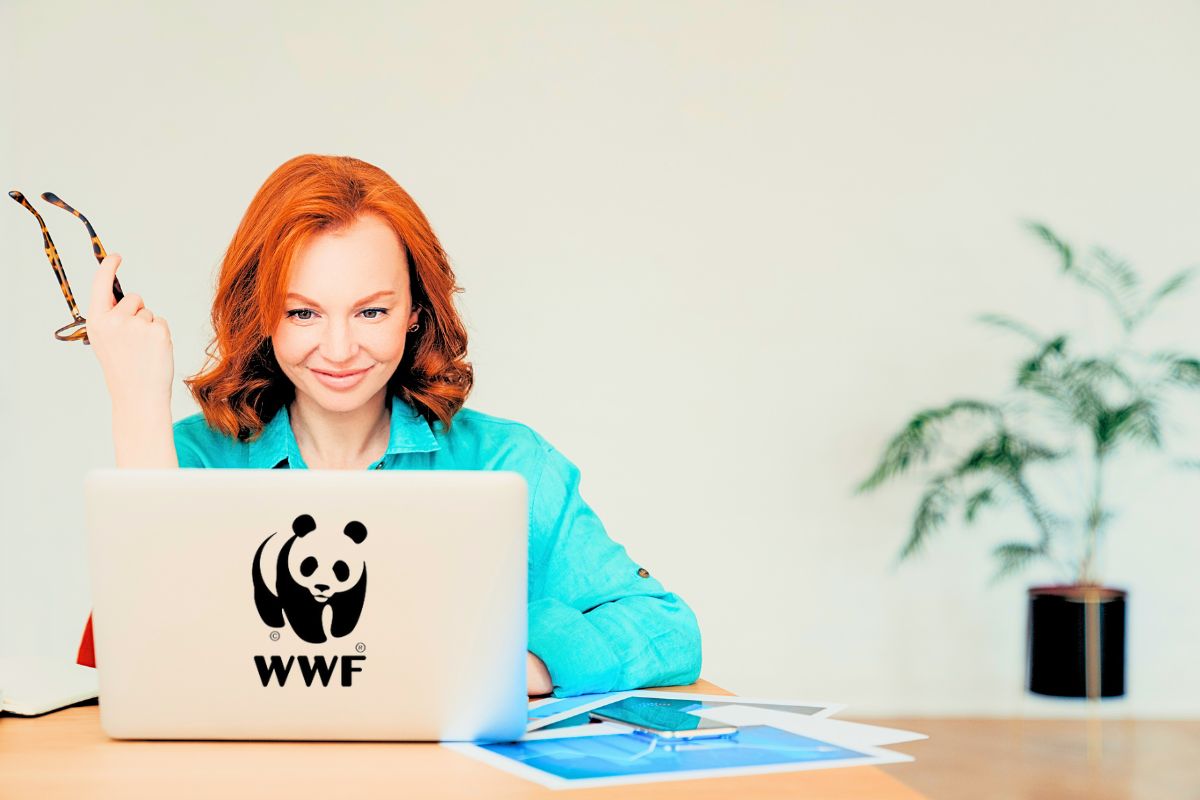 Trabalhe na WWF-Brasil: Inscrições para Vaga Home Office até 18/07/2024